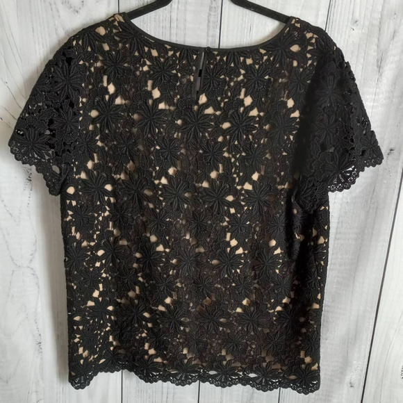 Talbots | Tops | Talbots Black Tannude Crochetstyle Lace Overlay ...